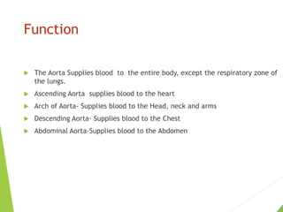 Aorta&its branches . pptx.pptx