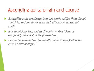 Aorta&its branches . pptx.pptx