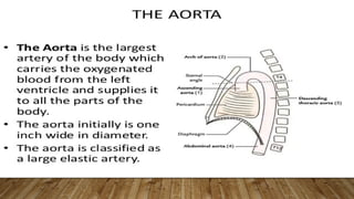 aorta anatomy and disease presentation.pptx