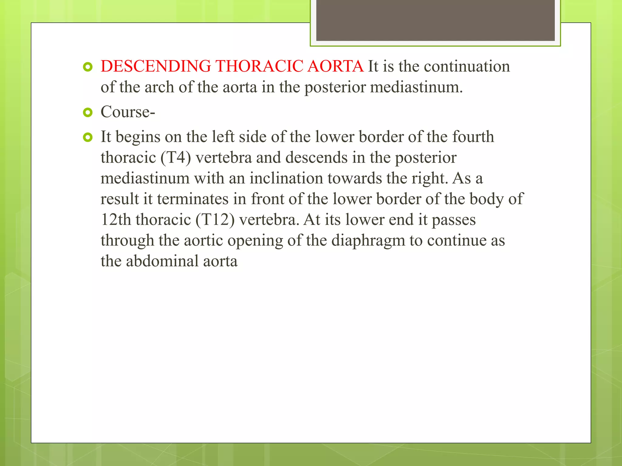 Aorta, SVC, PULMONARY TRUNK.pptx