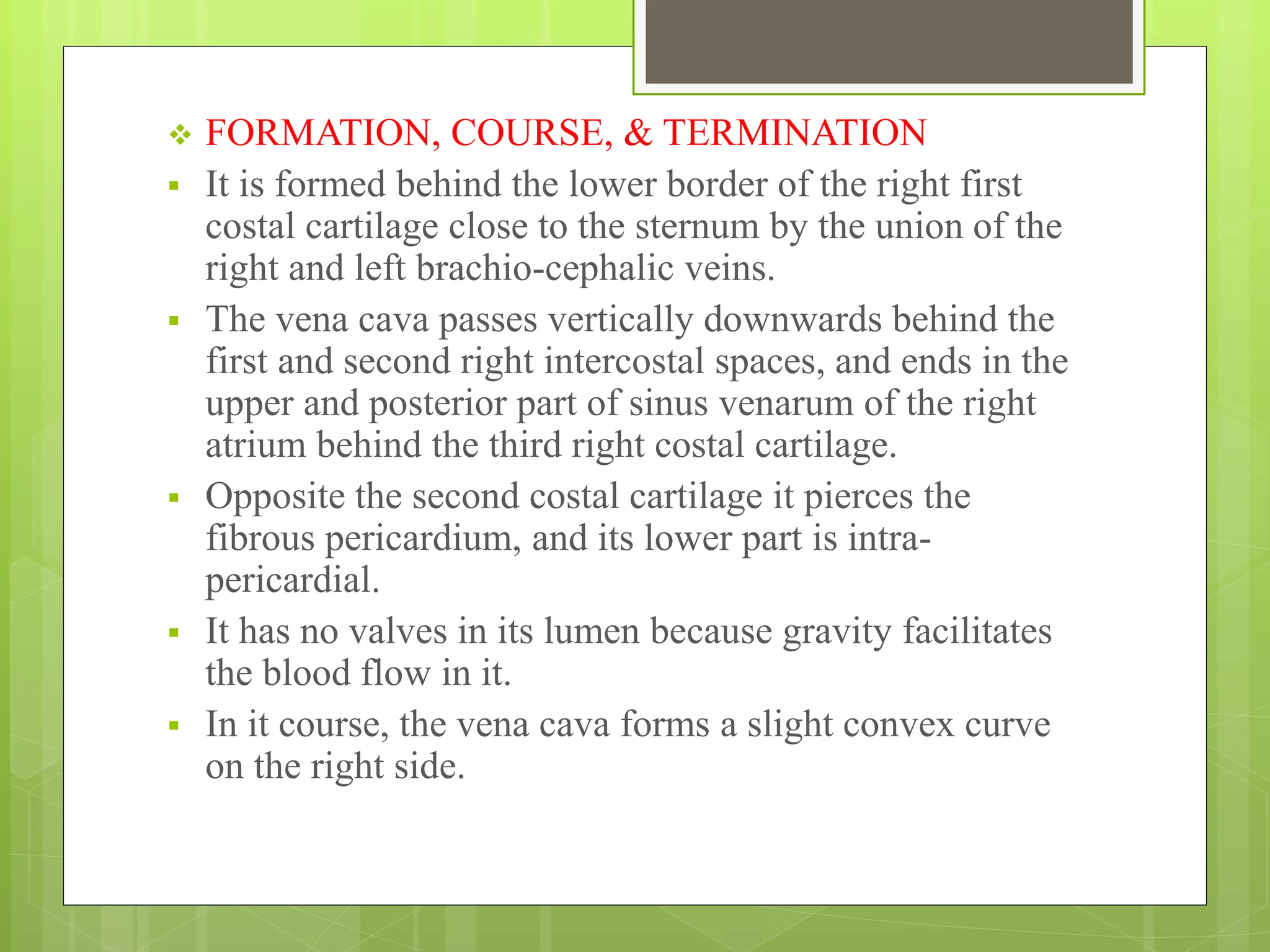 Aorta, SVC, PULMONARY TRUNK.pptx