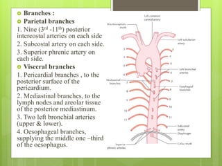 Aorta, SVC, PULMONARY TRUNK.pptx