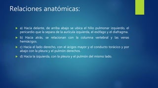 Aorta torácica y abdominal | PPTX