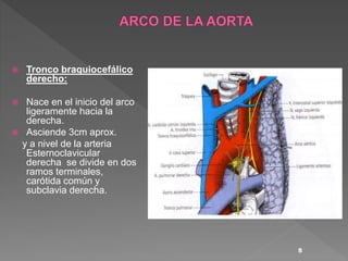 Aorta y sus ramas | PPTX