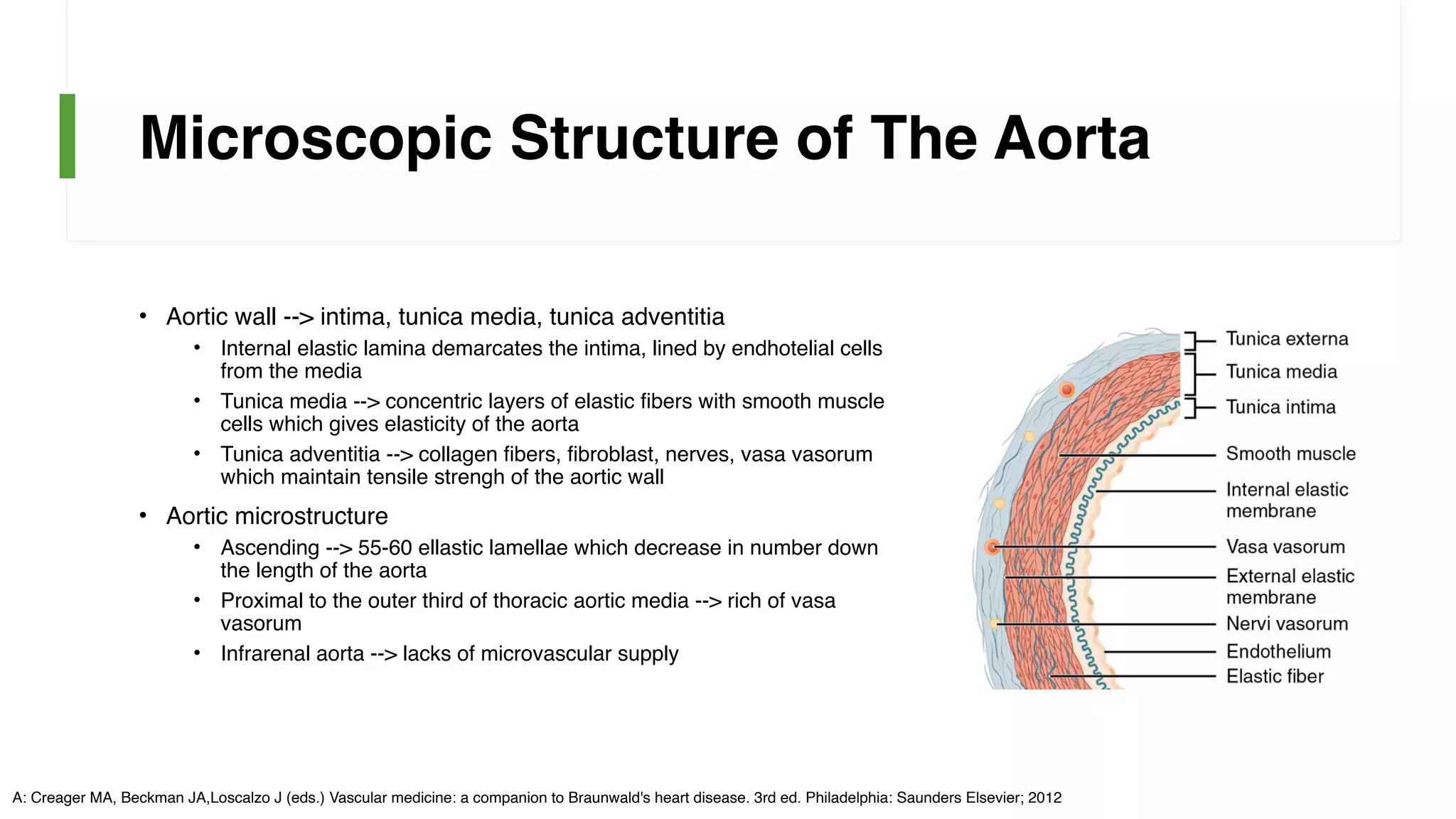 Aortic Aneurysm.pdf