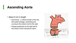 Aortic Aneurysm.pdf