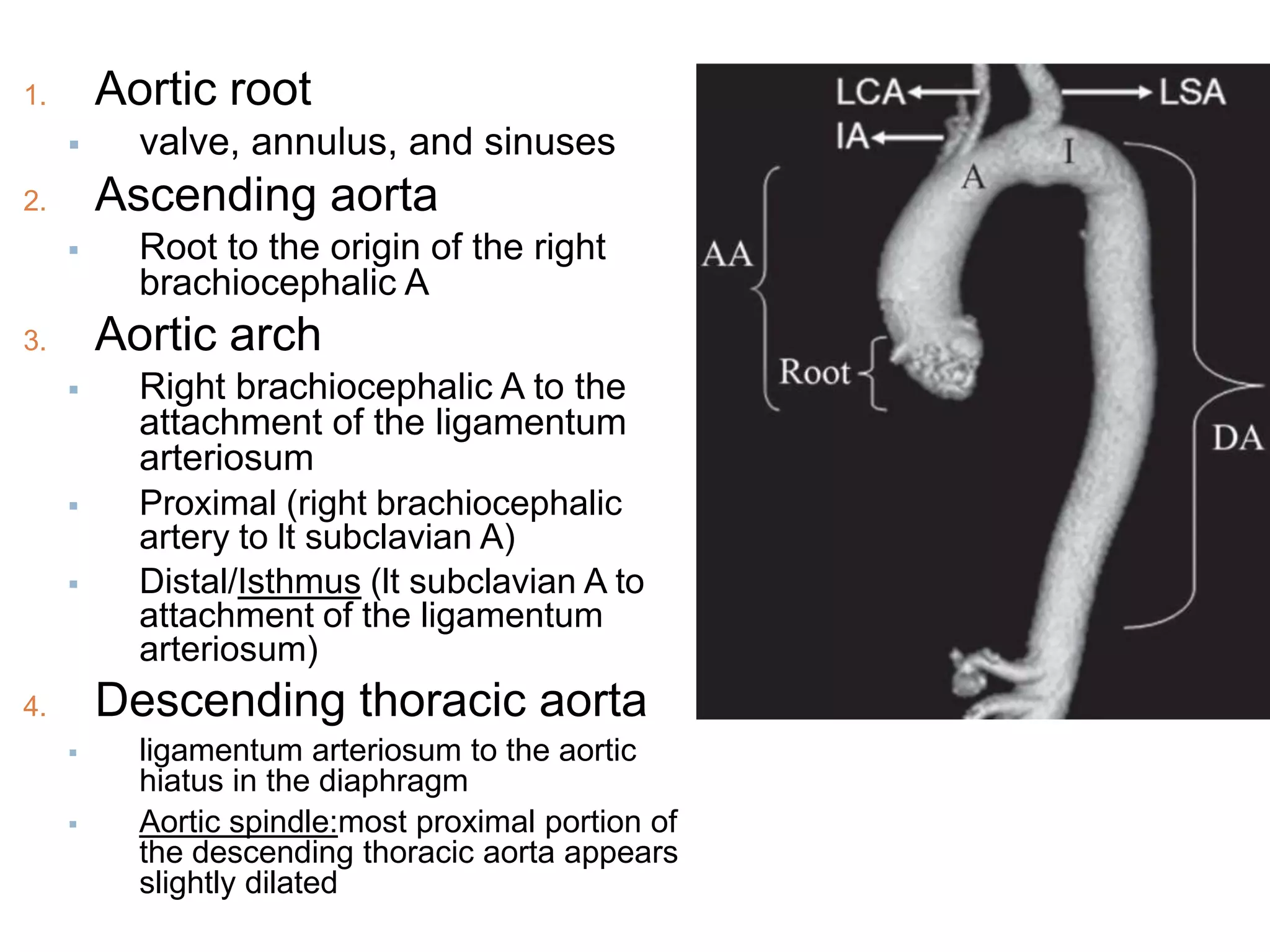 Aortic aneurysm imaging | PPTX