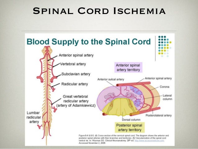 Aortic aneurysms and dissection 2016