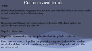 Aortic arch and upper extremities (Anatomy).pdf
