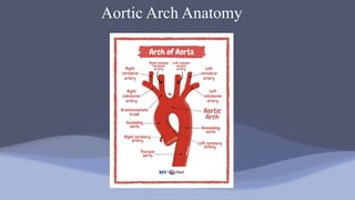 Aortic arch and upper extremities (Anatomy).pdf