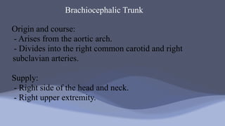 Aortic arch and upper extremities (Anatomy).pdf