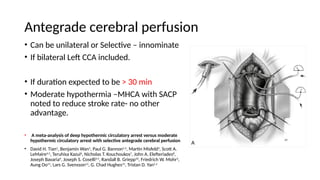 Aortic arch aneurysms in vascular surgery | PPTX
