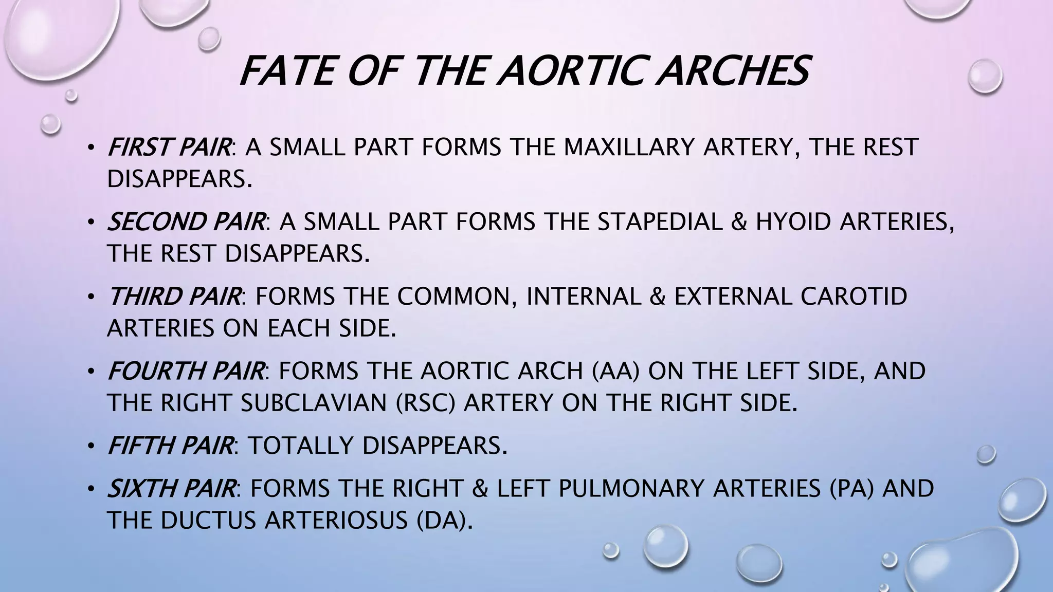 Aortic arch anomalies | PPTX | Heart and Cardiovascular Diseases ...