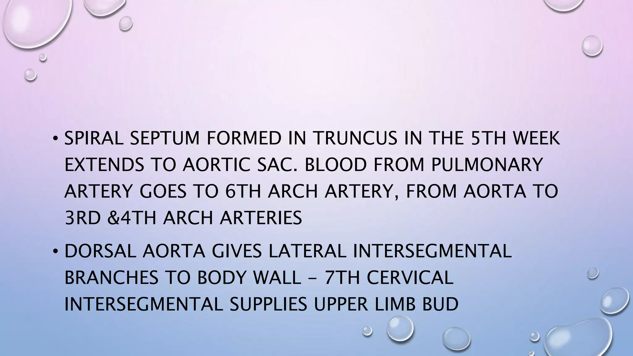 Aortic arch anomalies | PPTX | Heart and Cardiovascular Diseases ...