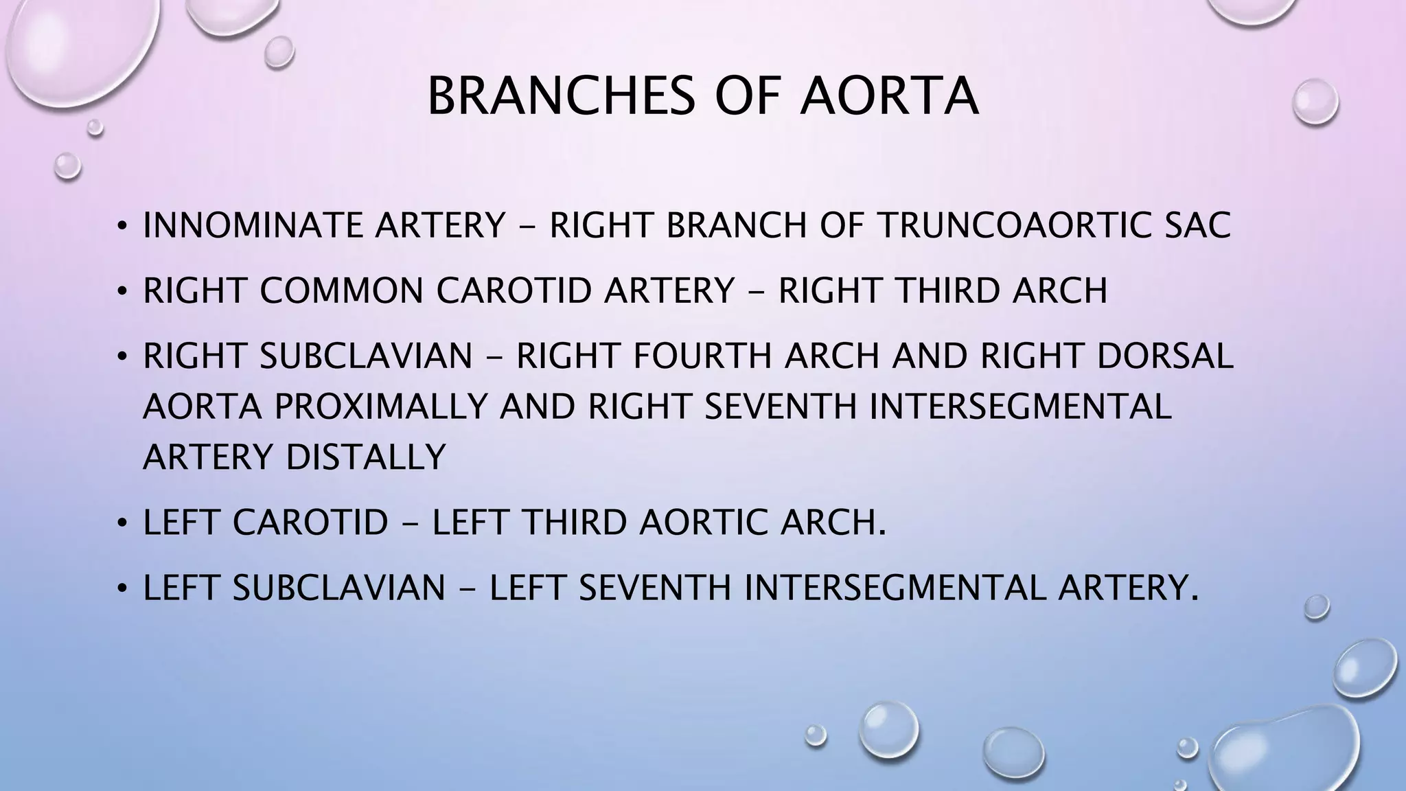 Aortic arch anomalies | PPTX | Heart and Cardiovascular Diseases ...