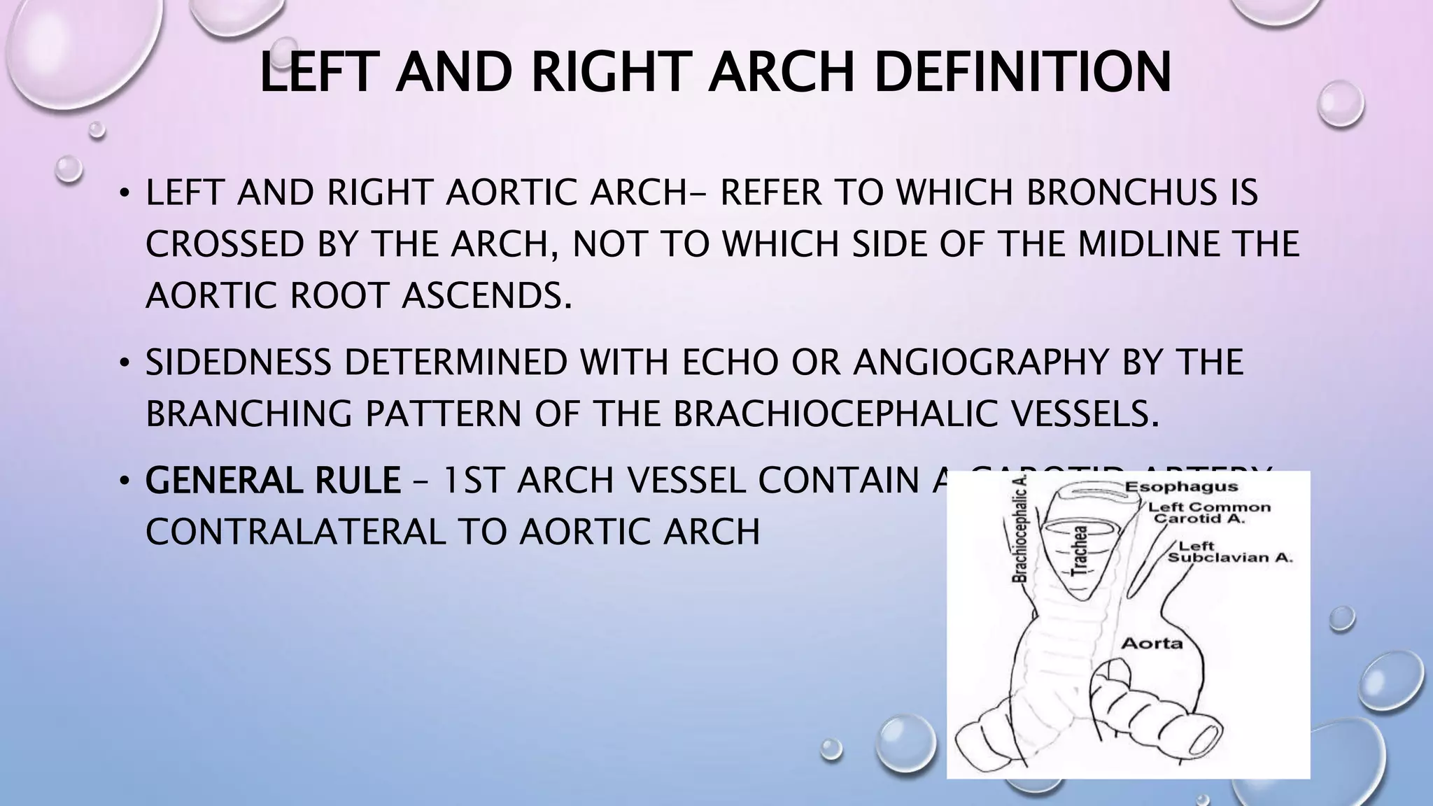 Aortic arch anomalies | PPTX | Heart and Cardiovascular Diseases ...