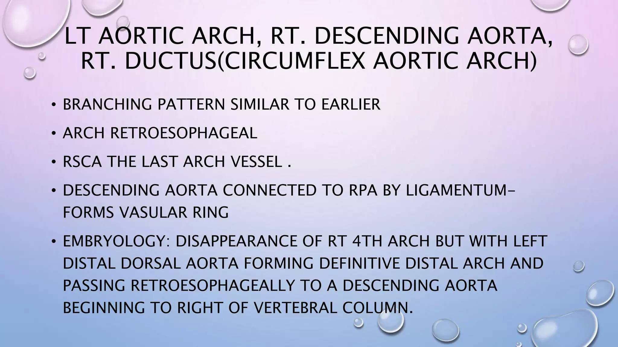 Aortic arch anomalies | PPTX | Heart and Cardiovascular Diseases ...