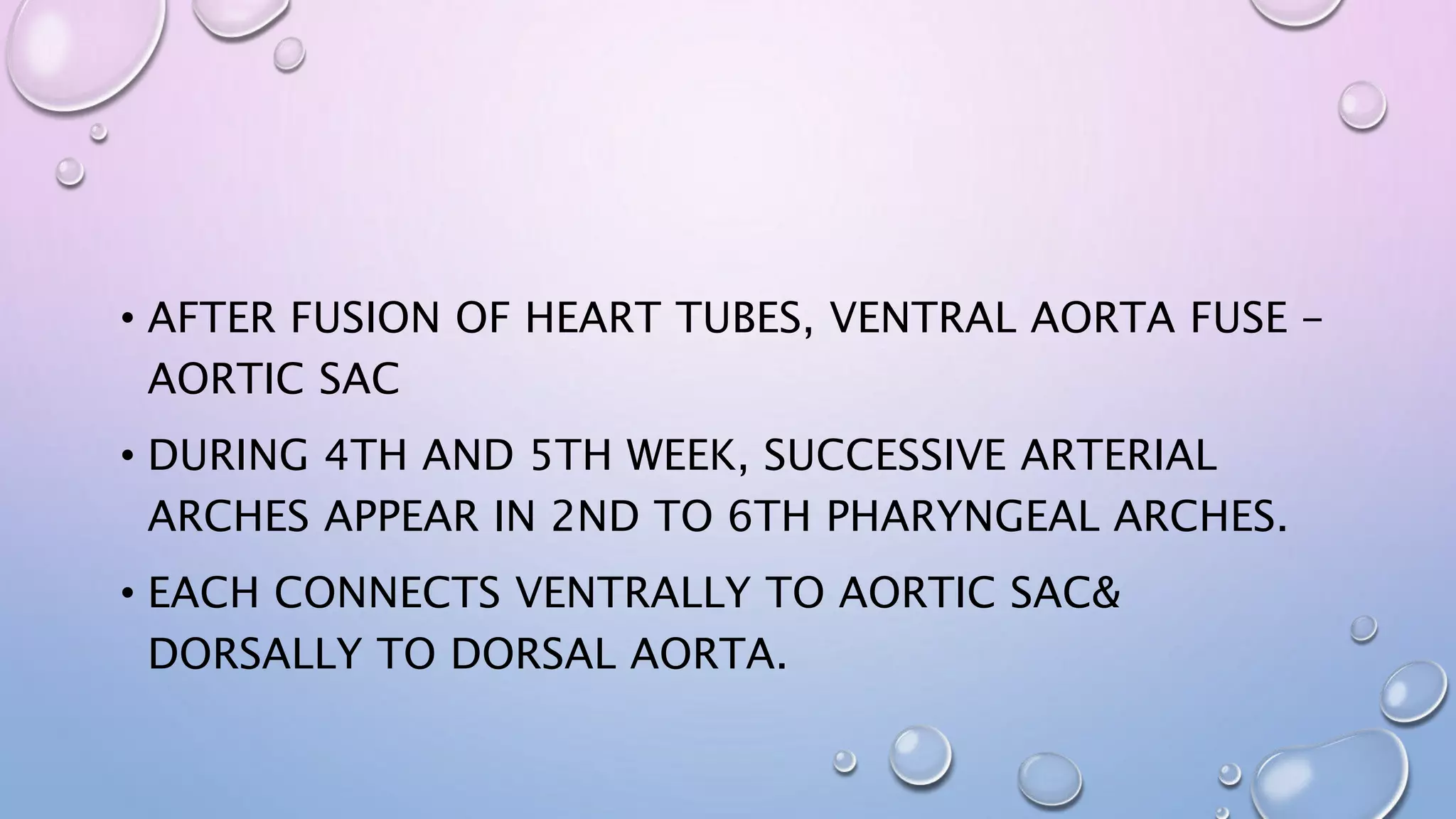 Aortic arch anomalies | PPTX | Heart and Cardiovascular Diseases ...