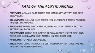 Aortic arch anomalies | PPTX