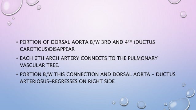 Aortic arch anomalies | PPTX | Heart and Cardiovascular Diseases ...