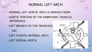 Aortic arch anomalies | PPTX