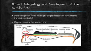 Aortic arch anomalies | PPTX