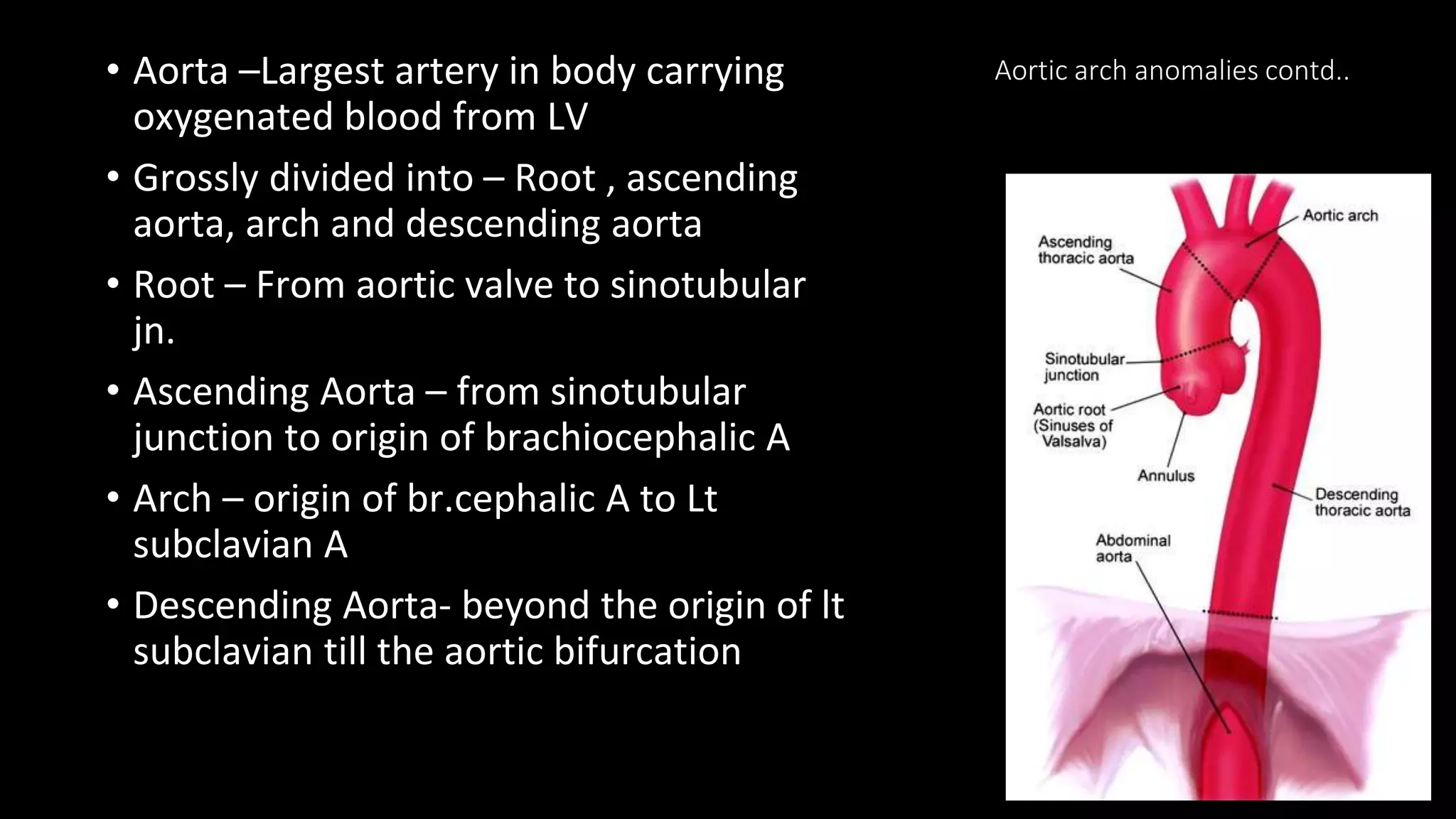 AORTIC ARCH ANOMALIES 2.pptx