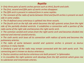Aortic arches | PPTX | Heart and Cardiovascular Diseases | Diseases and ...