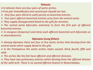 Aortic arches | PPTX | Heart and Cardiovascular Diseases | Diseases and ...