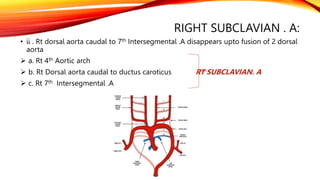 Aortic arches.pptx