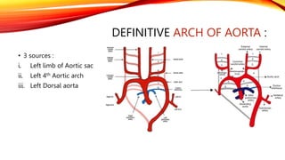 Aortic arches.pptx