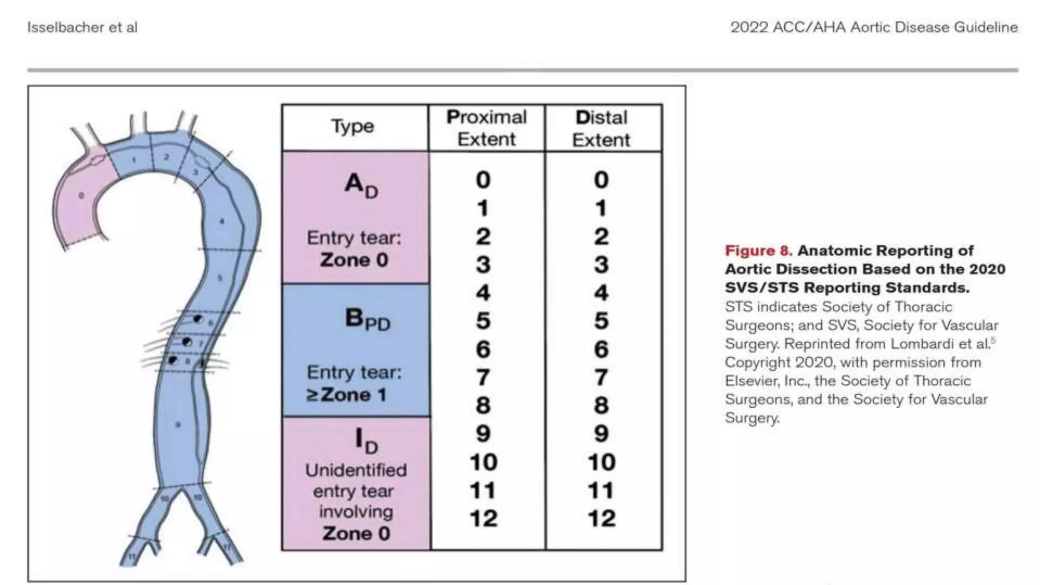 Aortic Dissection .pptx