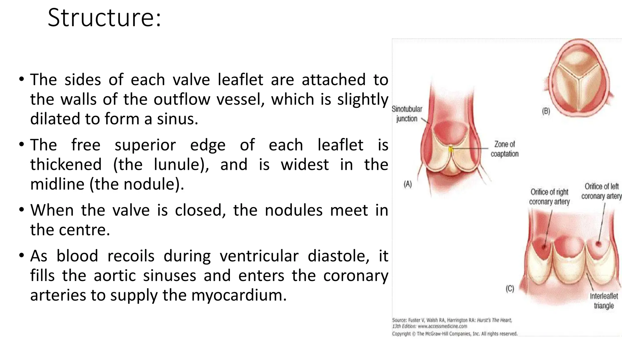 valvular heart diseaseAORTIC REGURGITATION.pptx