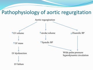 Aortic Regurgitation Pathophysiology