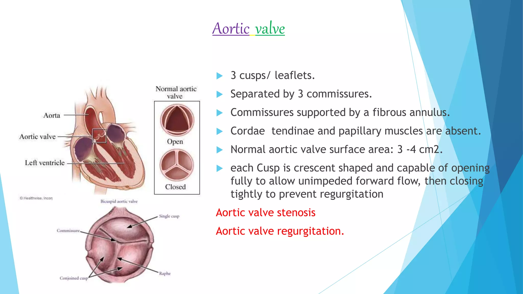 aortic valve disease.pptx