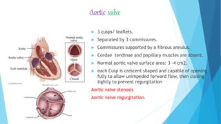 aortic valve disease.pptx