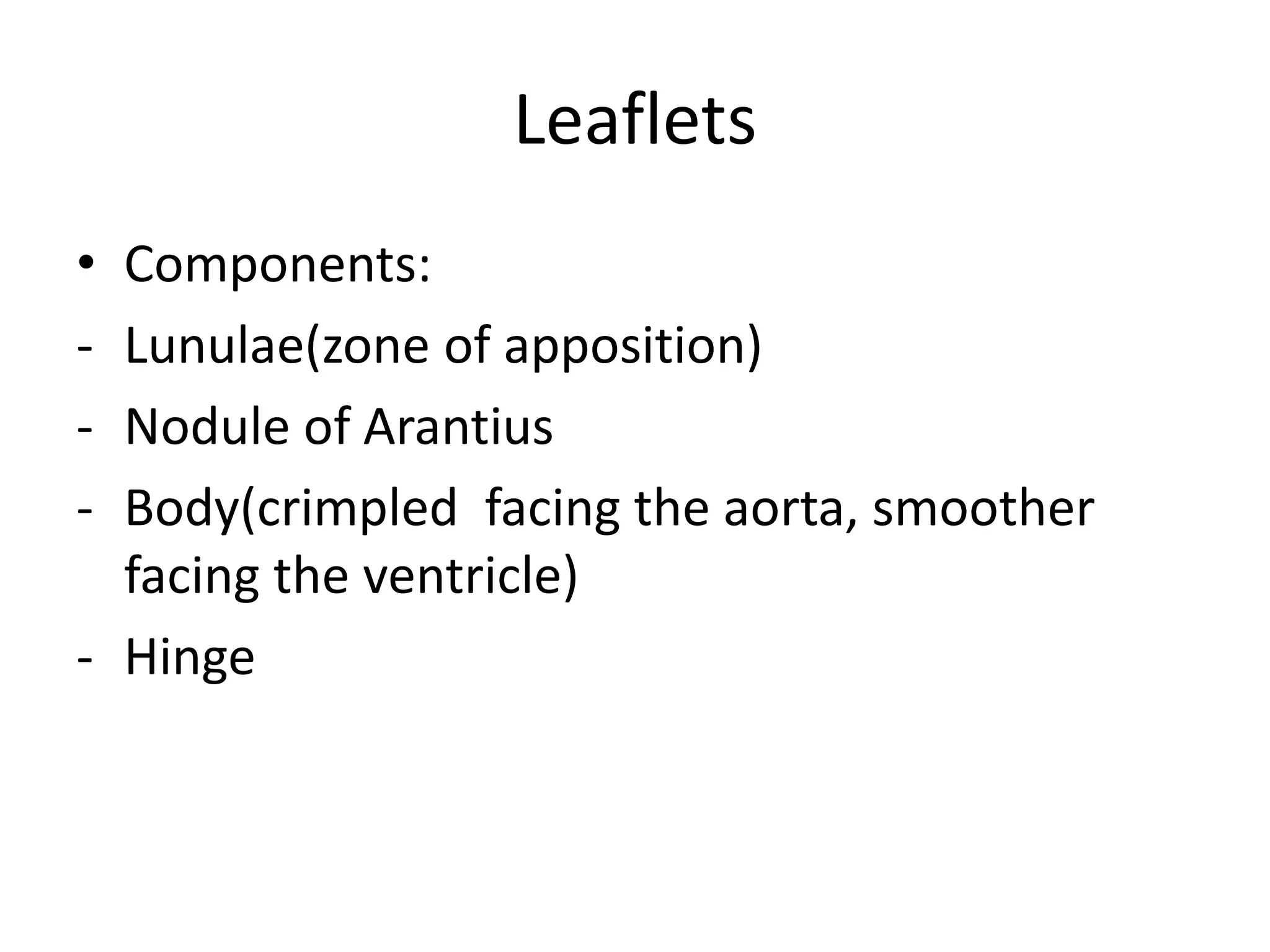 Aortic valve anatomy presentation | PPTX