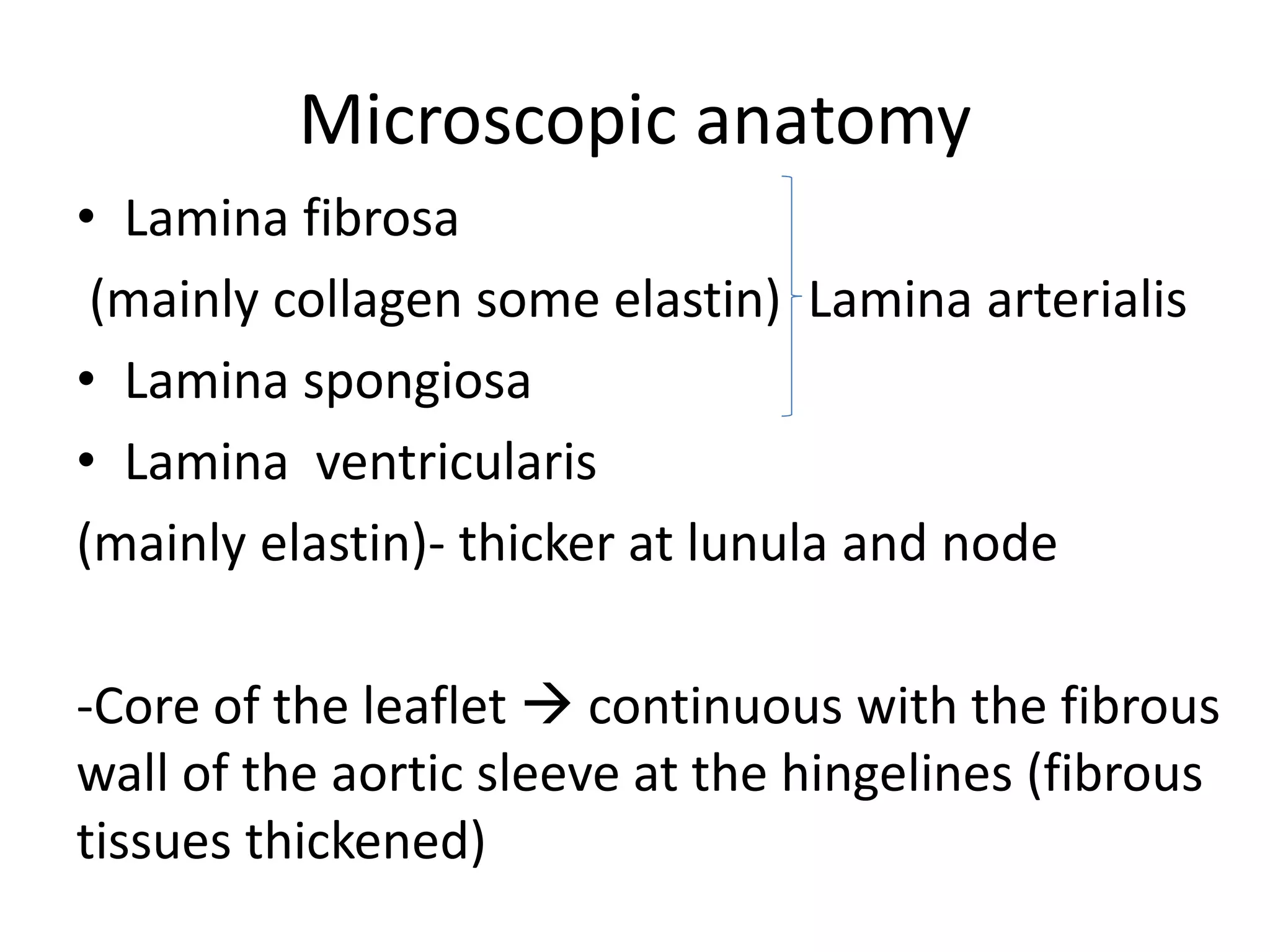 Aortic valve anatomy presentation | PPTX