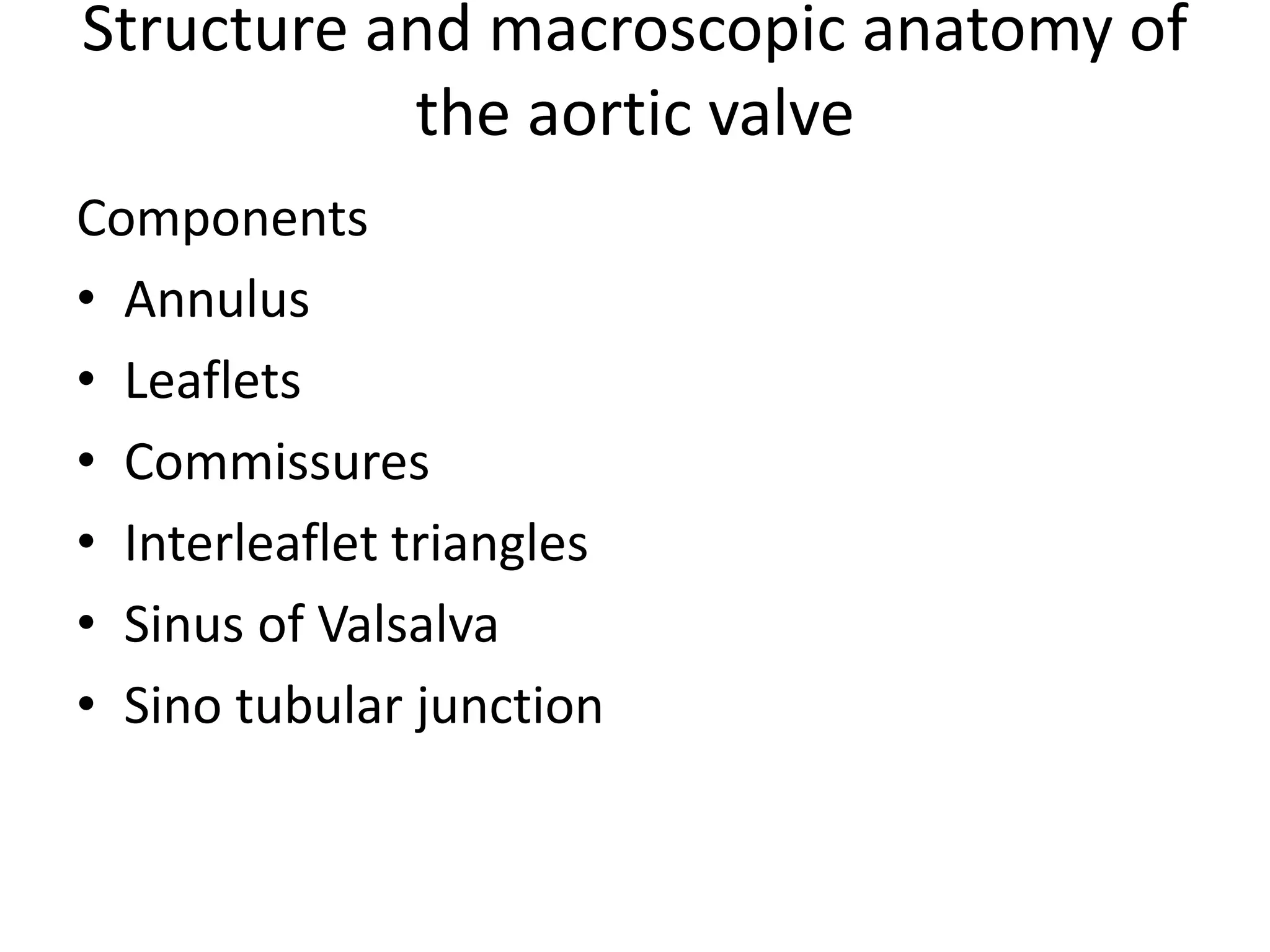 Aortic valve anatomy presentation | PPTX