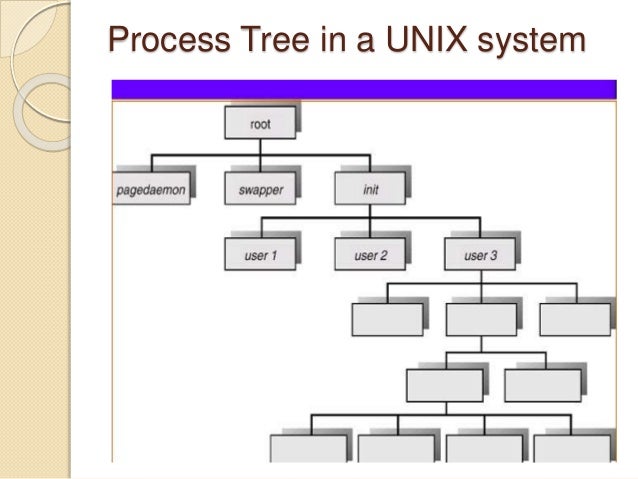 Advanced Operating Systems Process Management