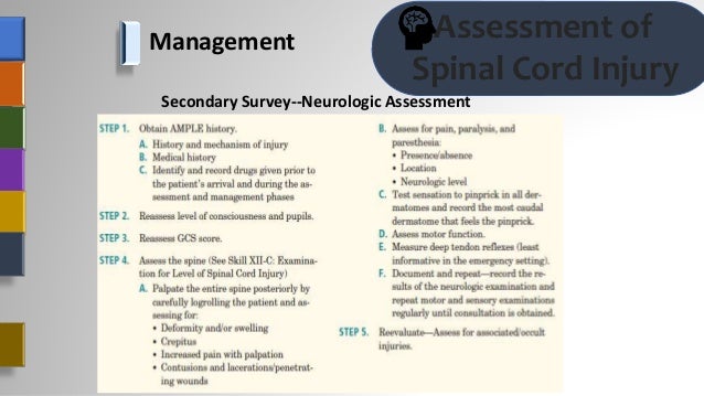 Assessment Of Spinal Cord Injury