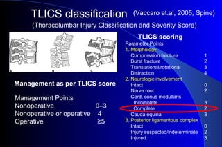 AOSPINE2010TLfx | PPT