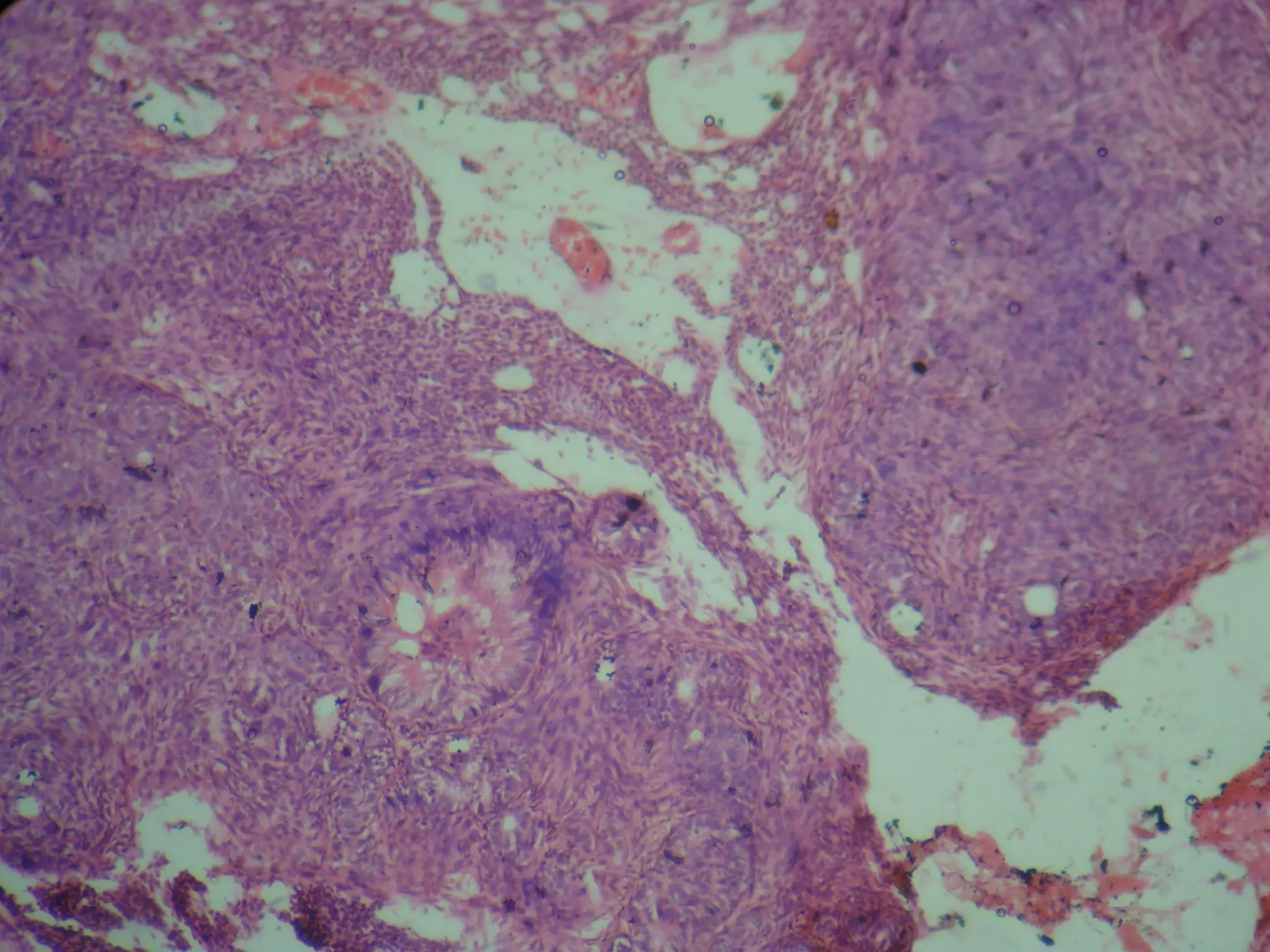 AOT -Path.pptxjijojknknknomlmkookojjknnkl | PPTX