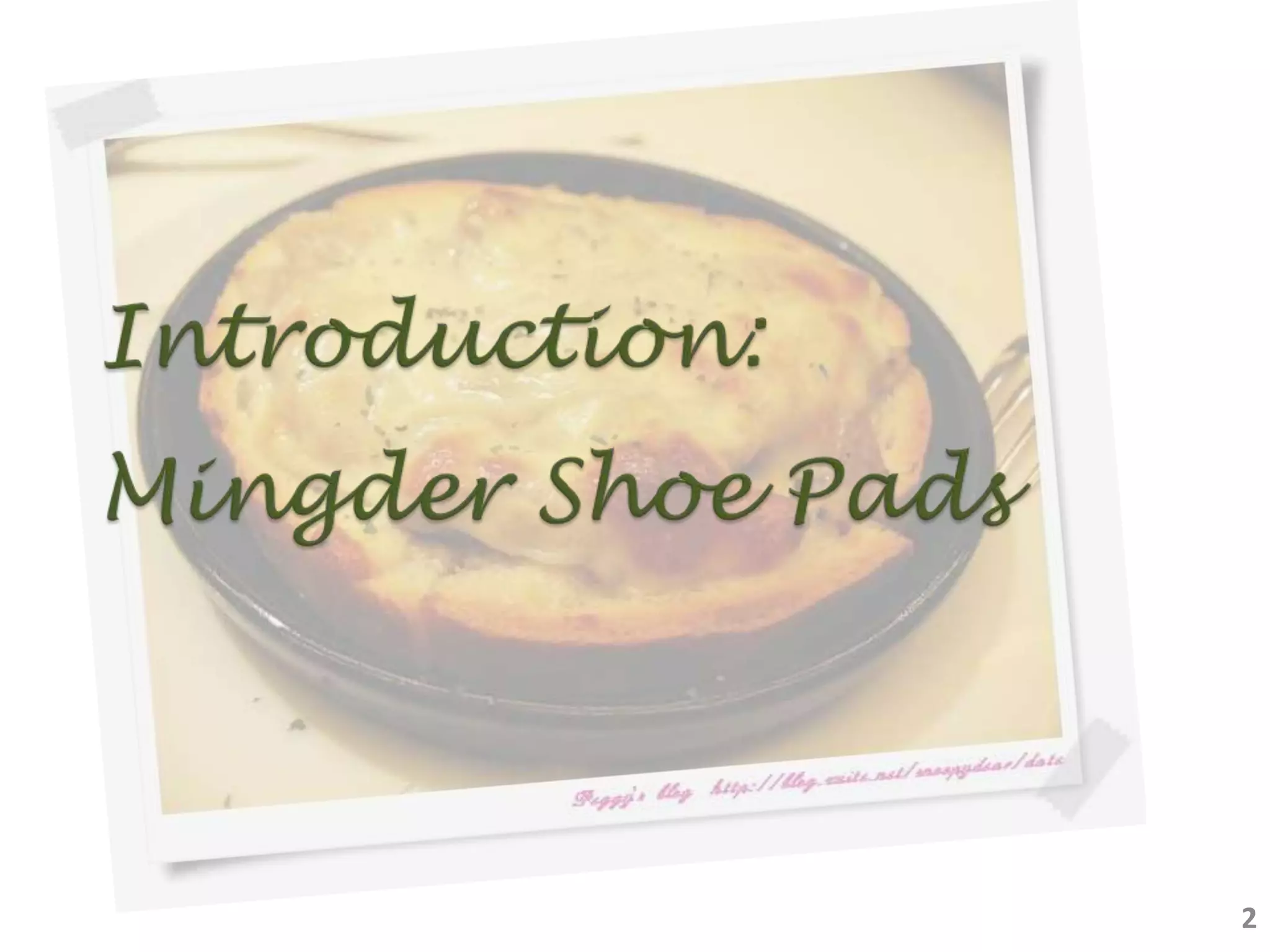 AOT Final Group Presentation | PPTX