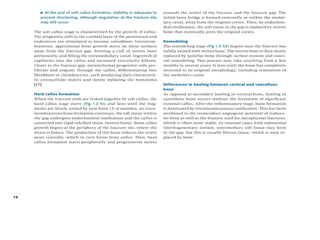 AO Trauma orthopaedic principle of fracture management .pptx