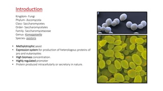 Cultivation strategies to enhance productivity in Pichia pastoris | PPTX