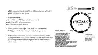 Cultivation strategies to enhance productivity in Pichia pastoris | PPTX