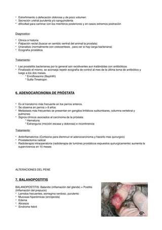 Patologias del Aparato reproductor en perros y gatos | PDF