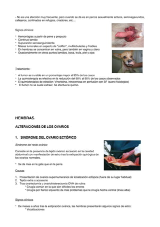 Patologias del Aparato reproductor en perros y gatos | PDF