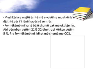 Projekt Biologji - Aparati i Frymekembimit frymekembimit | PPTX